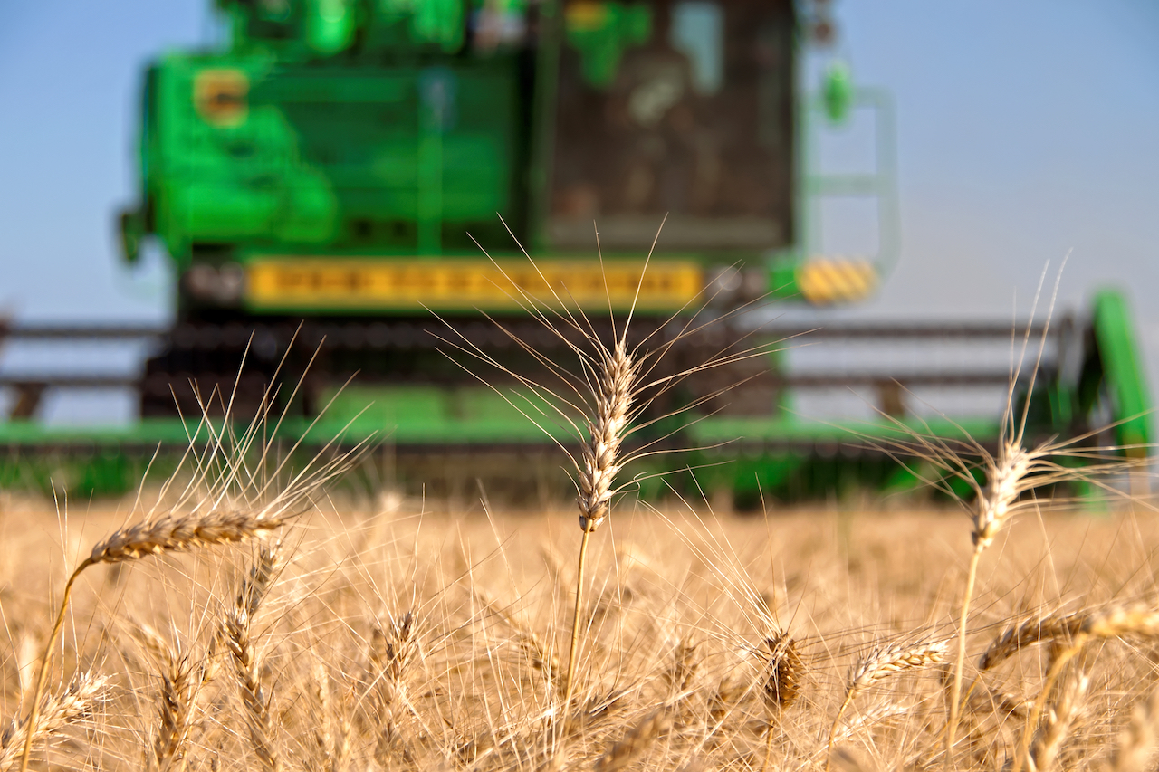 bigstock-164534852 copy - Emerging Europe