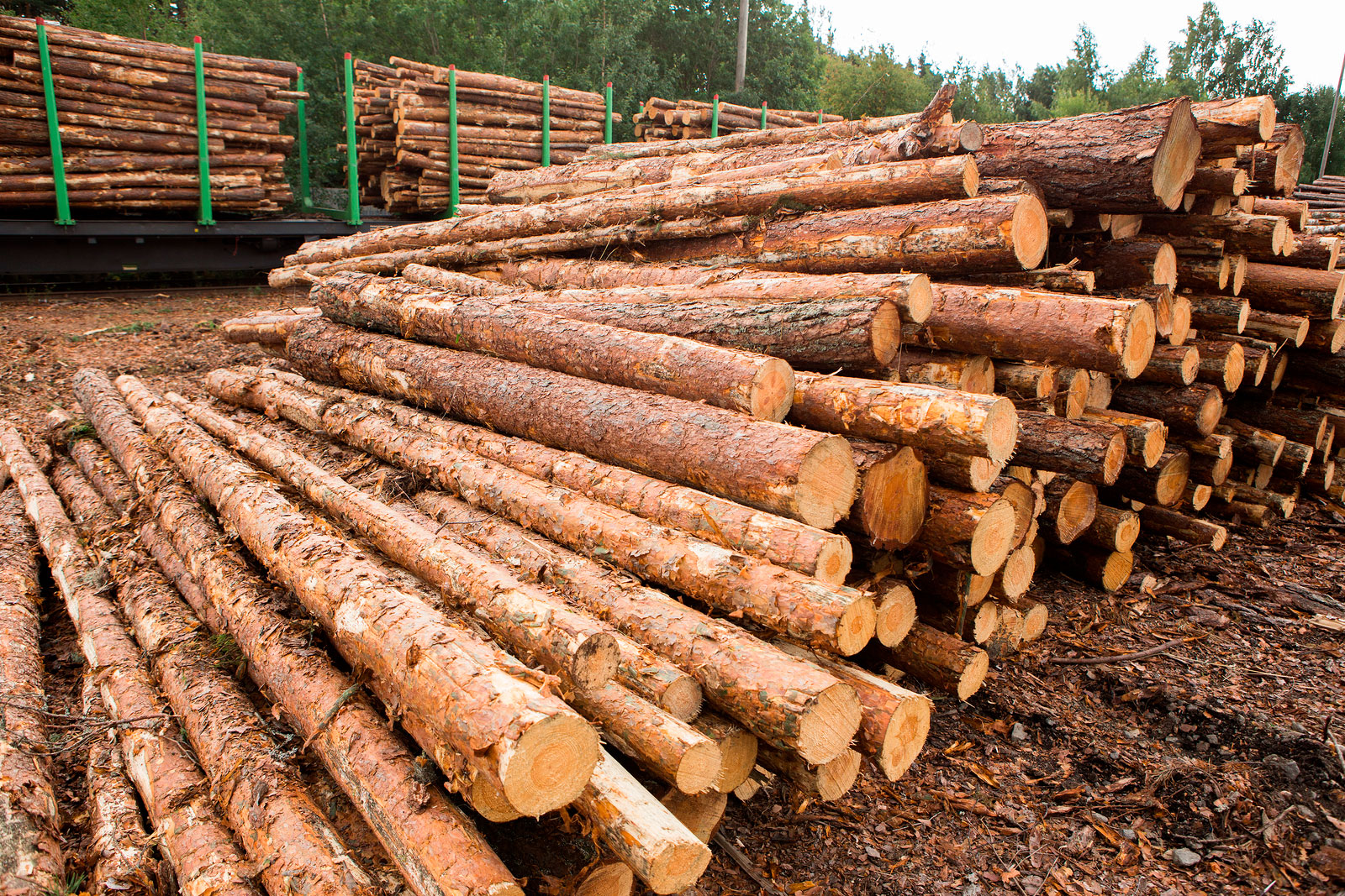 Scottish Timber Company BSW Announces 40 Million Euros Slovenian ...
