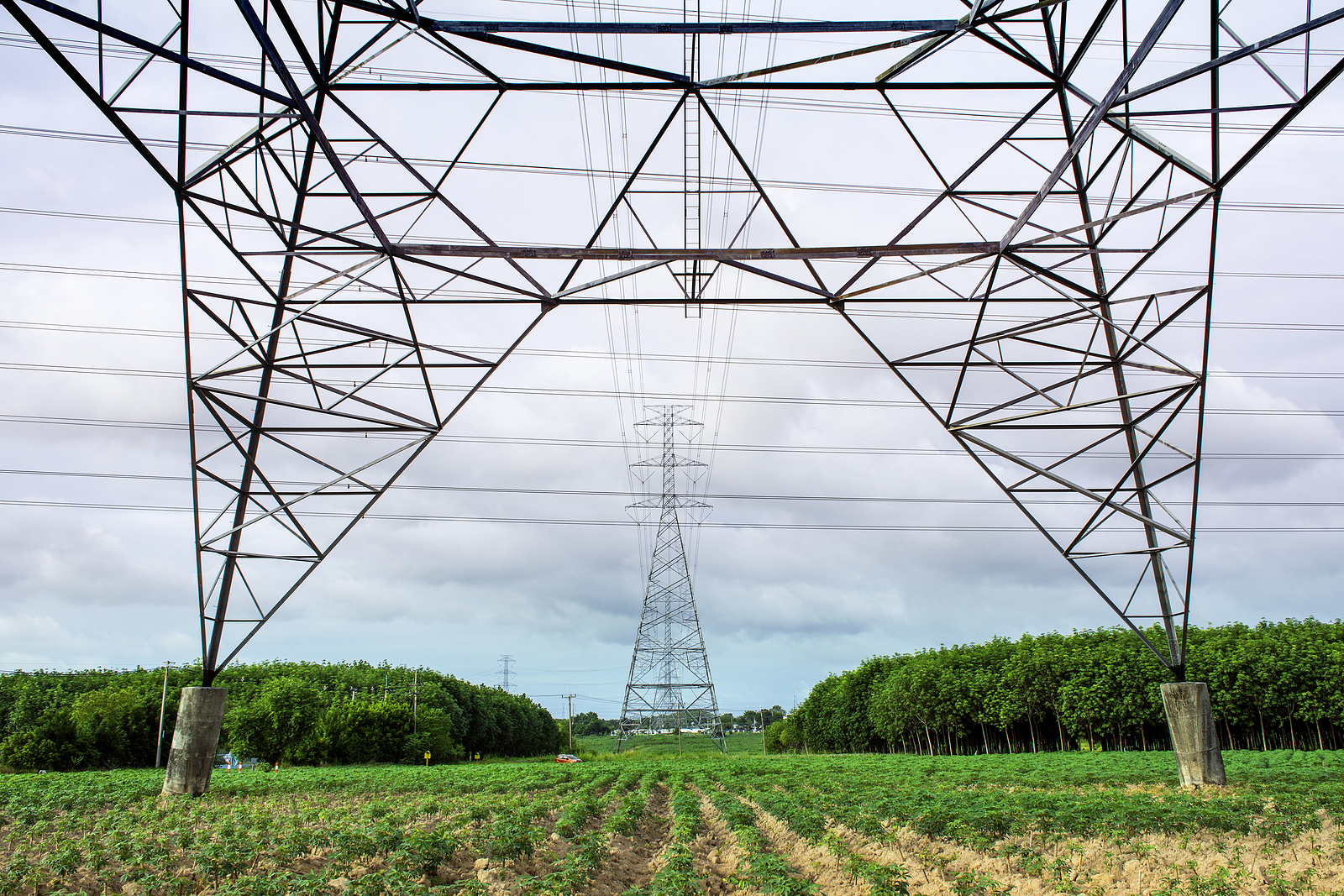 bigstock-Transmission-Line-Of-Electrici-262509544 - Emerging Europe