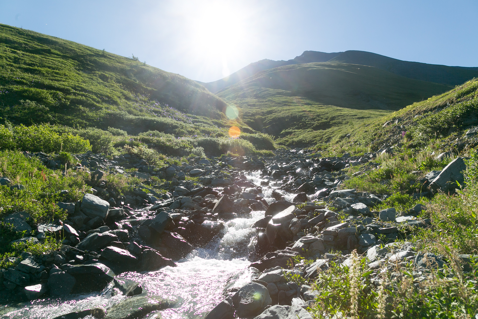 bigstock-A-Fast-Mountain-Stream-In-The-263841763 - Emerging Europe