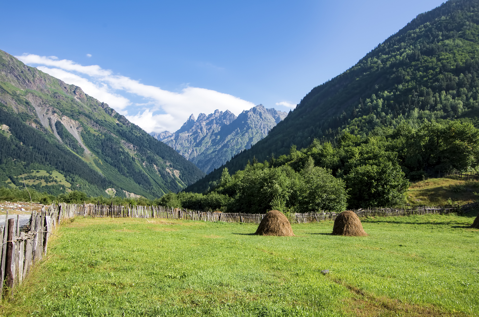 Making tracks in Georgia: Elsewhere in emerging Europe - Emerging Europe