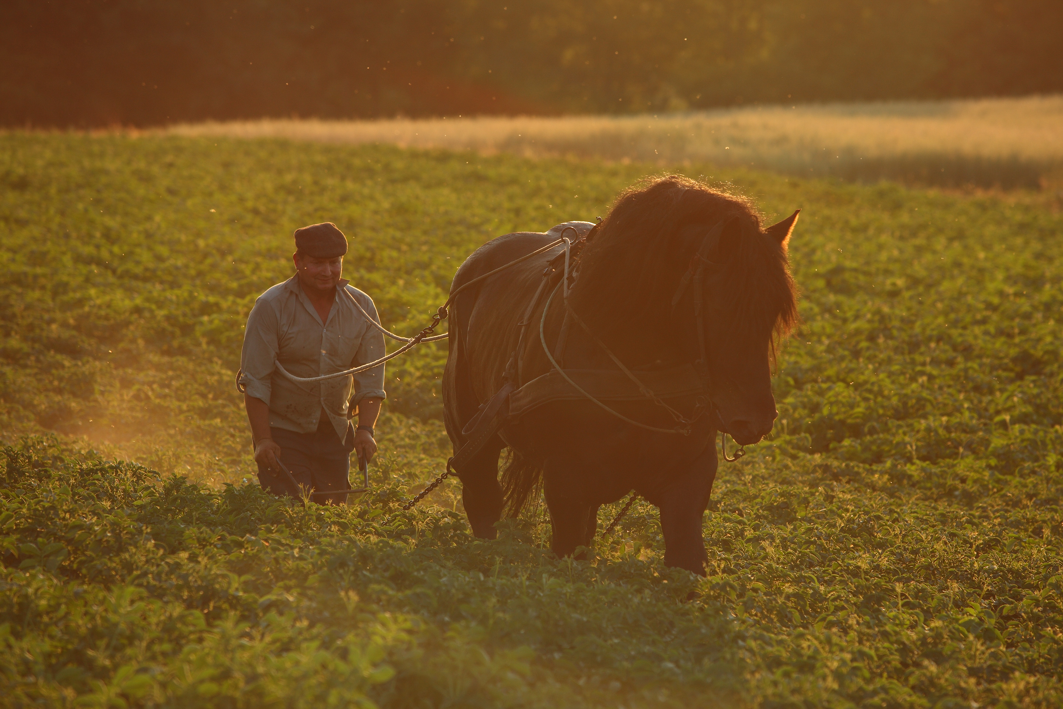 The Englishman making Polish vodka - Emerging Europe