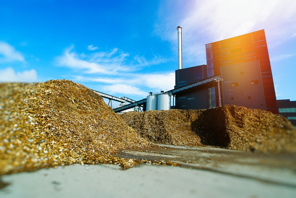 Serbia's MK Group to use biomass to power 5,000 homes - Emerging Europe