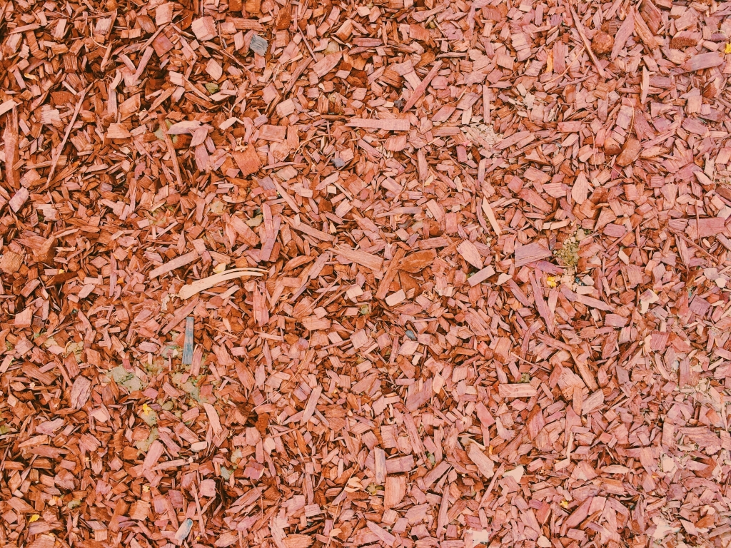 Czech Republic's GEEN opens second biomass power plant in Croatia ...