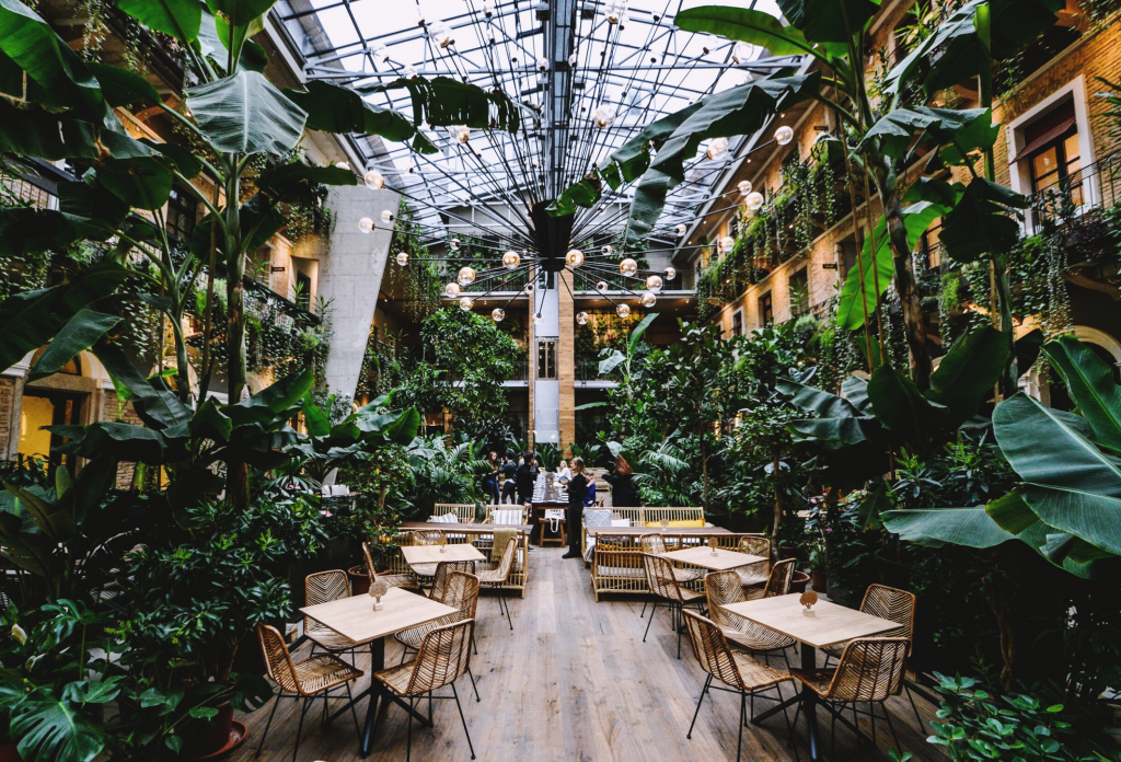 Twentysix: The new urban jungle in the heart of Budapest - Emerging Europe