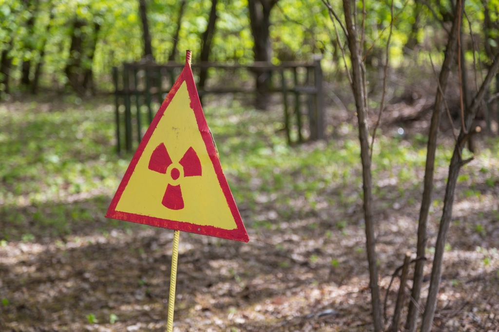 Forest fires are setting Chernobyl’s radiation free: Elsewhere in ...