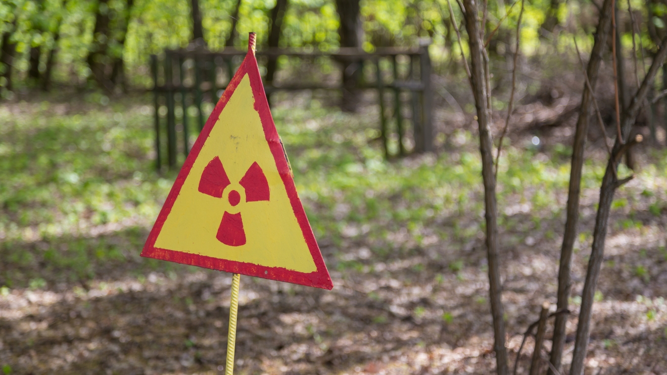 Forest fires are setting Chernobyl’s radiation free: Elsewhere in ...
