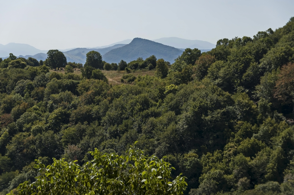 Emerging Europe environmental projects recognised at Natura 2000 awards ...