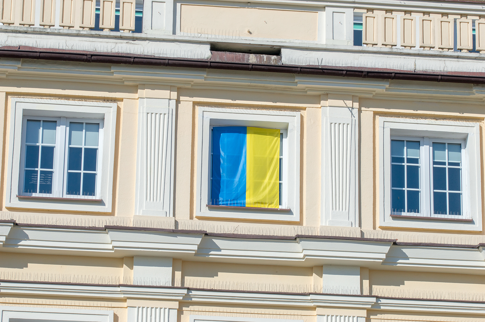 ‘My beloved husband, our four cats, and my son's pet snake remained in ...