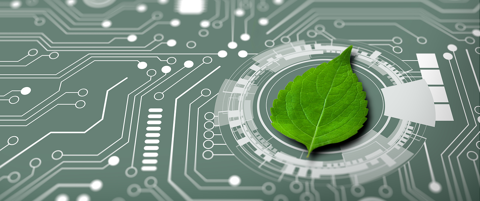 Green computing is more than a trend, it’s a necessity