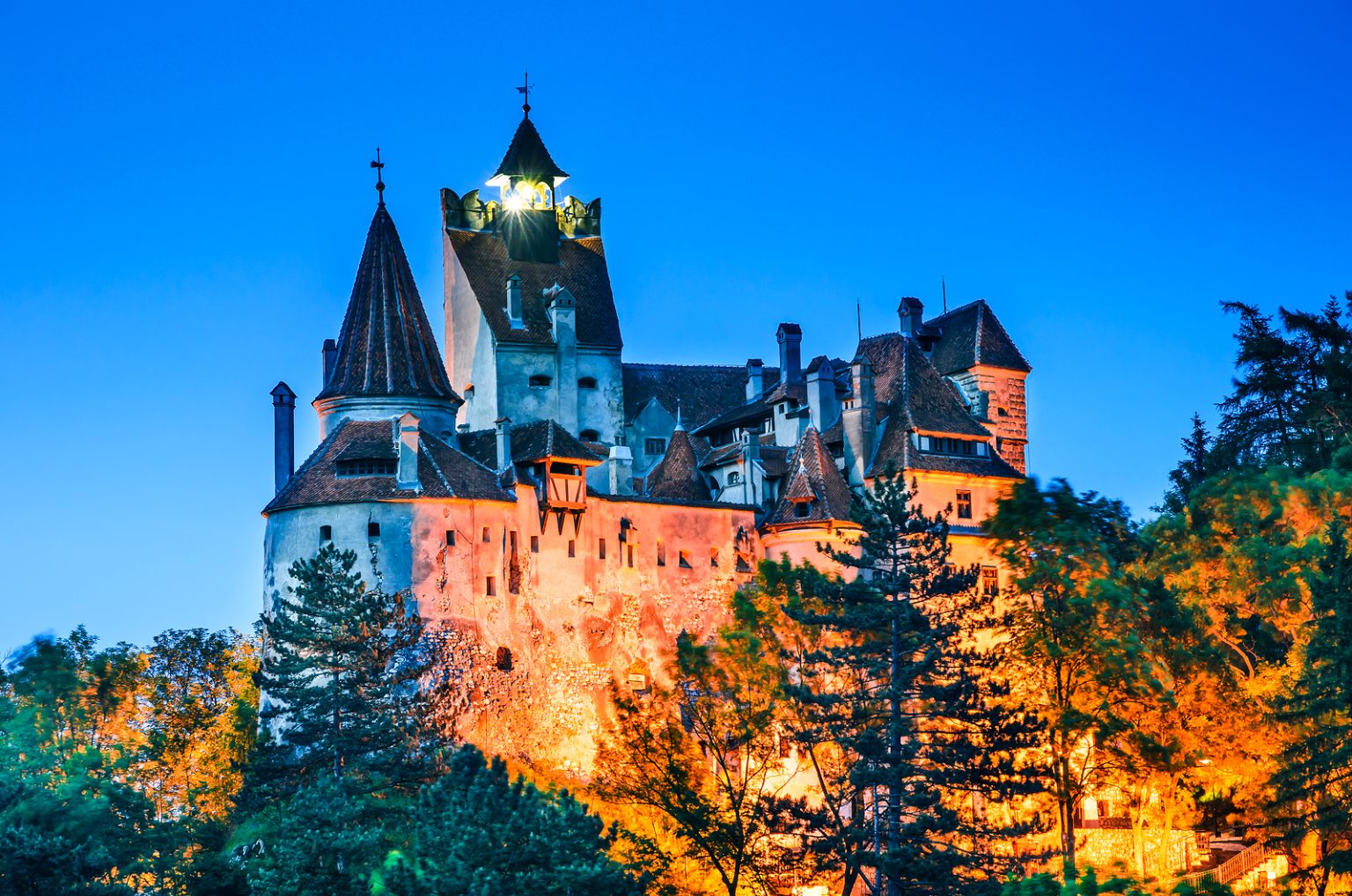 In a small corner of Transylvania, the fightback against mass, low-cost ...
