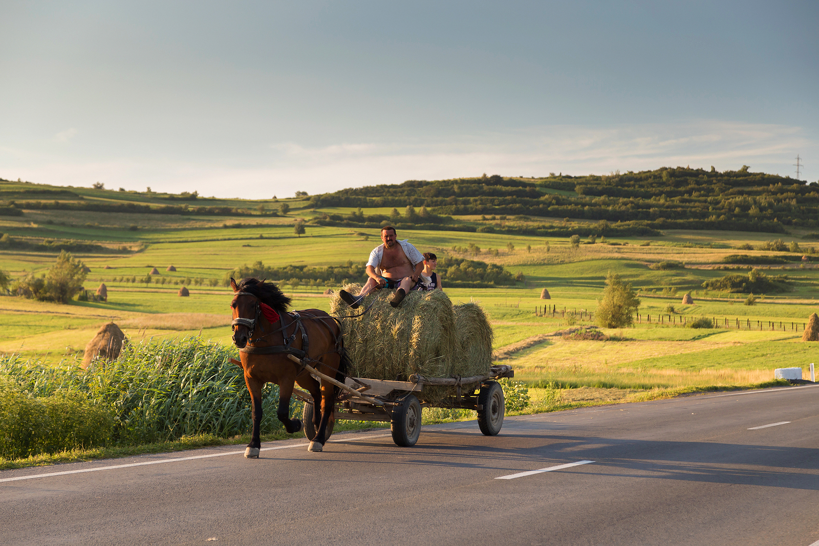 The last word: Reinventing rural development in emerging Europe